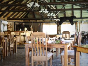 Accommodation | Majeje Africa Safaris