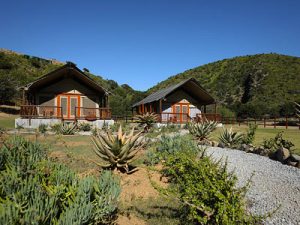 Accommodation | Majeje Africa Safaris