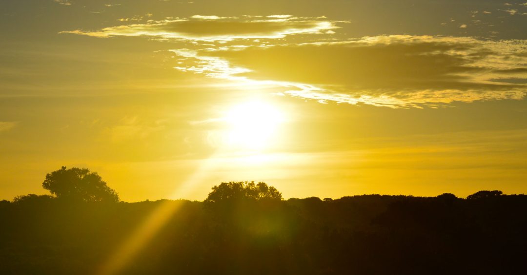 Photos and Videos | Majeje Africa Safaris